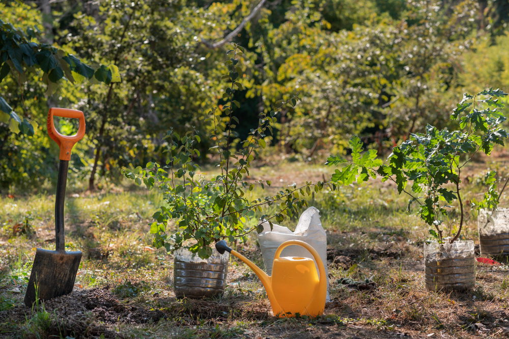 Fruit & Edibles — “Create Your Own Backyard Orchard: Growing Fruit & E ...