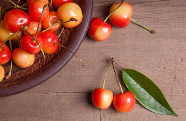 Rainier Cherry Tree – Anything And Everything Plants