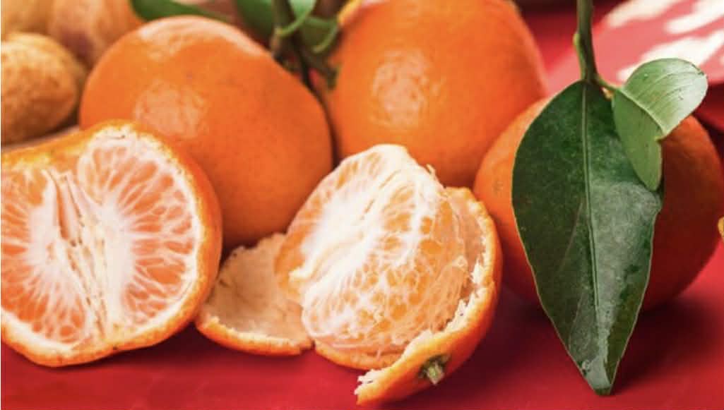 Mandarin Imperial Variety – Anything And Everything Plants