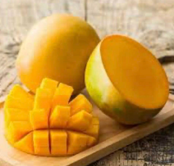Mango Alphonso Variety – Anything And Everything Plants